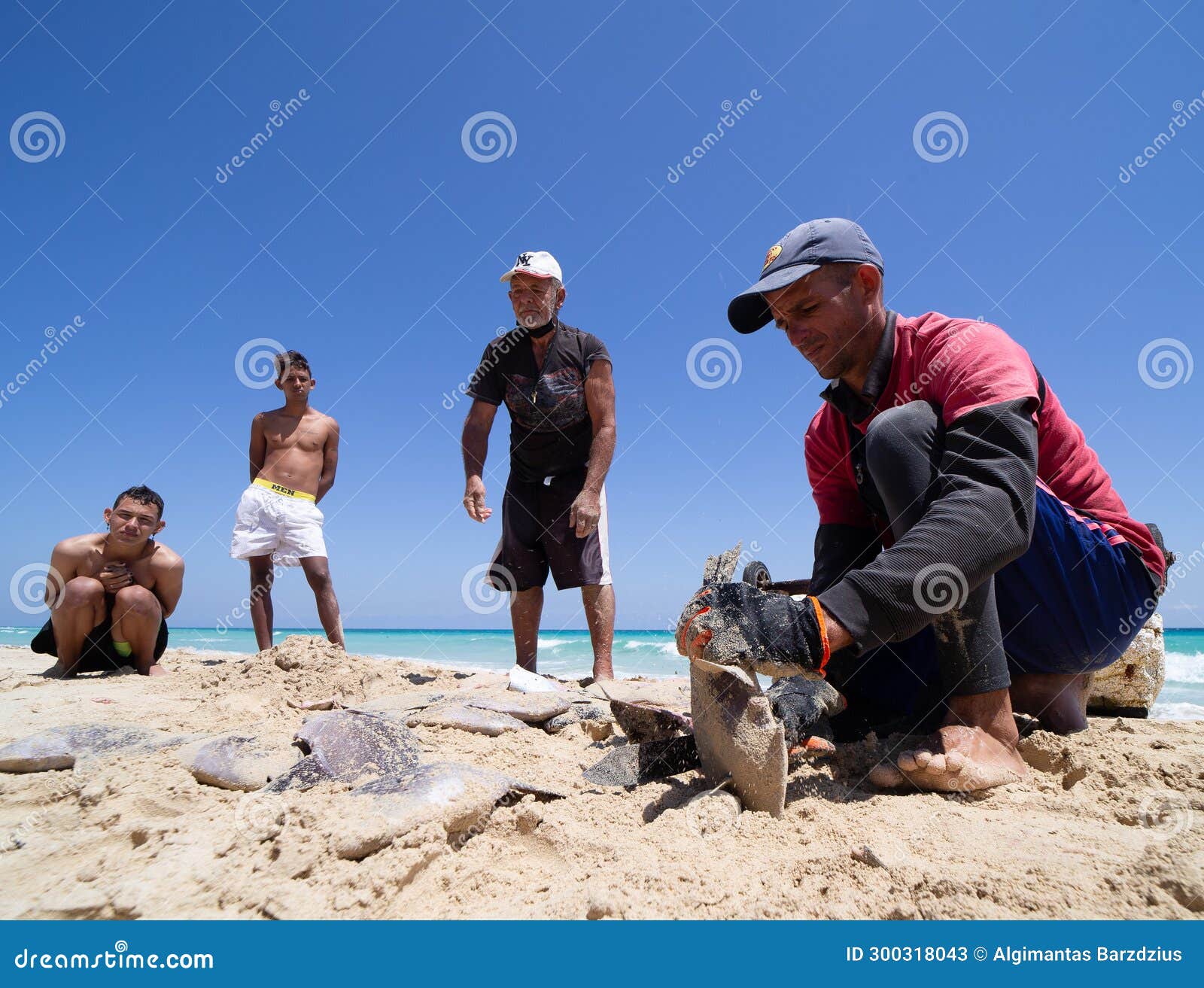 A Fisherman Guts a Freshly Caught Fish on a Cuban Beach 04 28 2022 ...