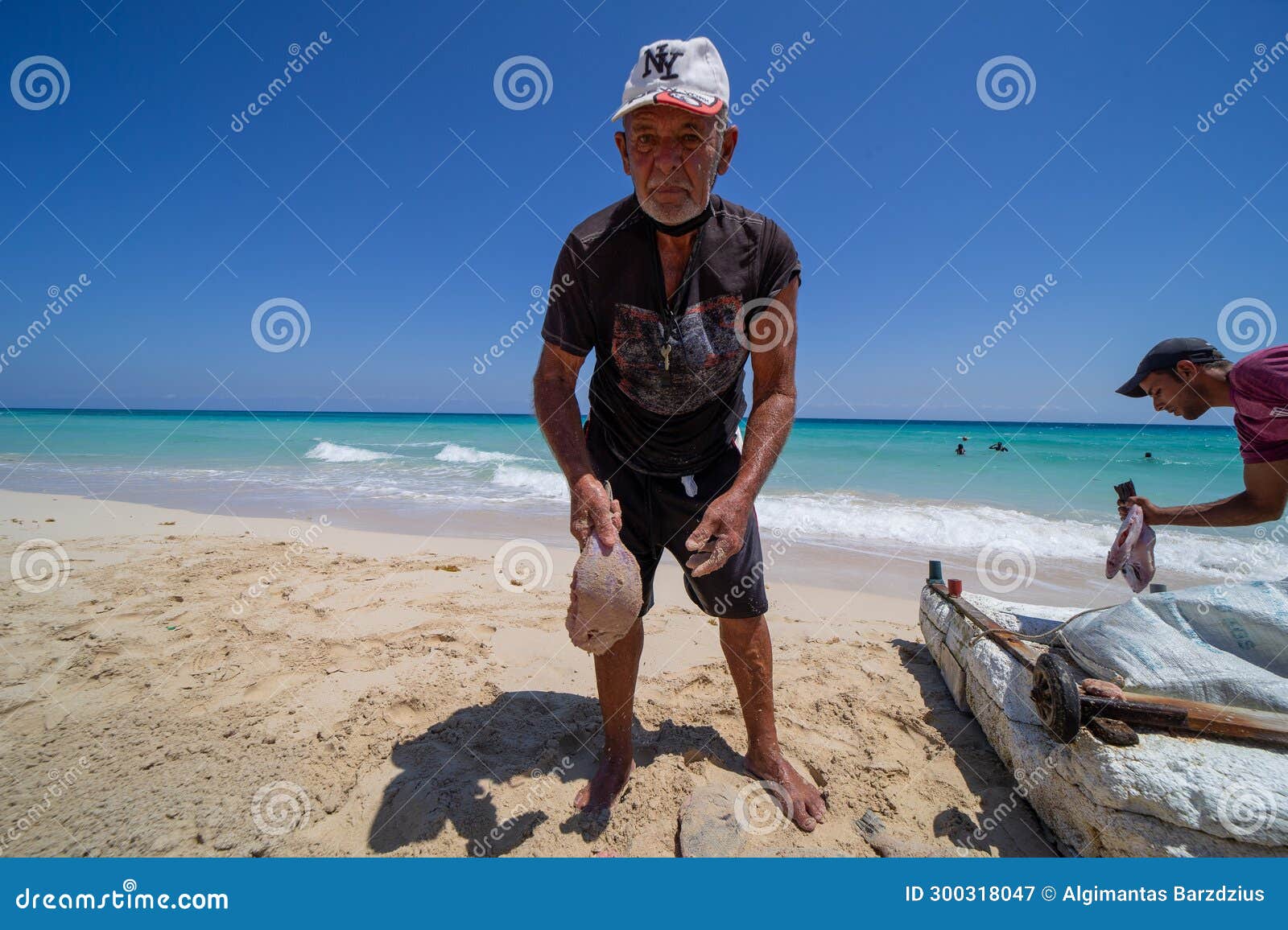 A Fisherman Guts a Freshly Caught Fish on a Cuban Beach 04 28 2022 ...