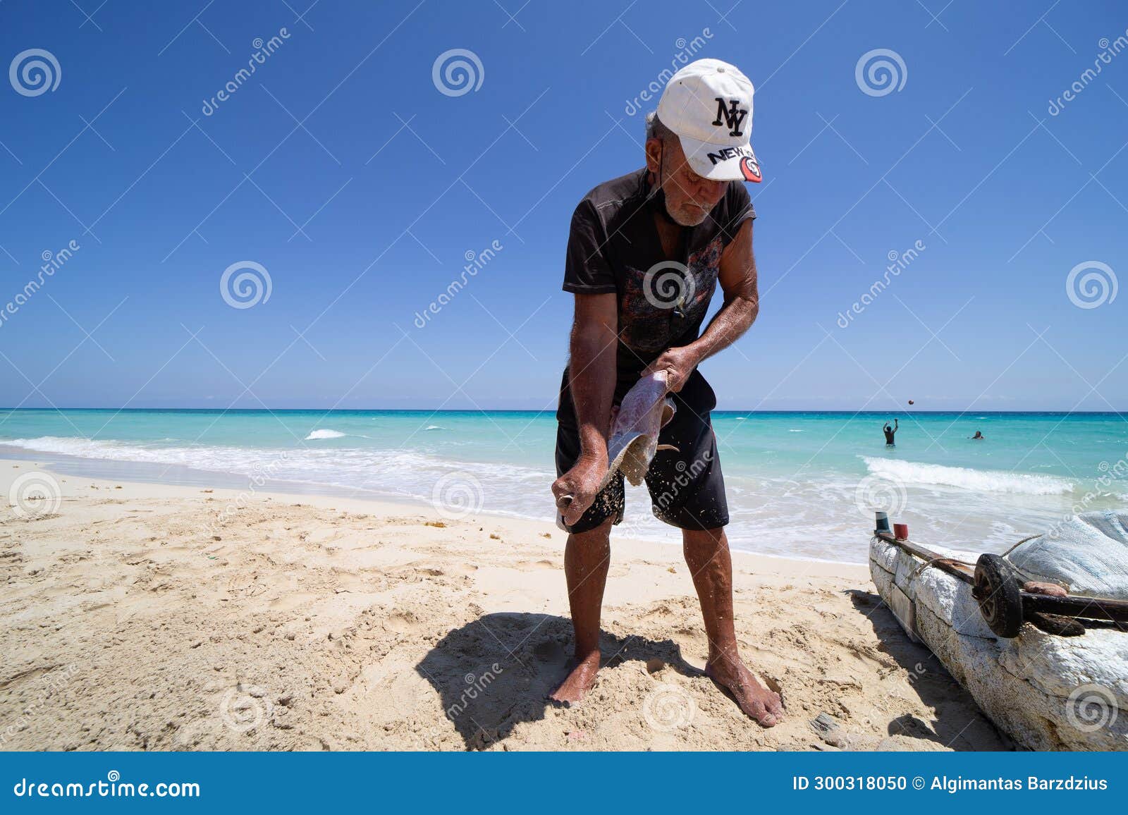 A Fisherman Guts a Freshly Caught Fish on a Cuban Beach 04 28 2022 ...