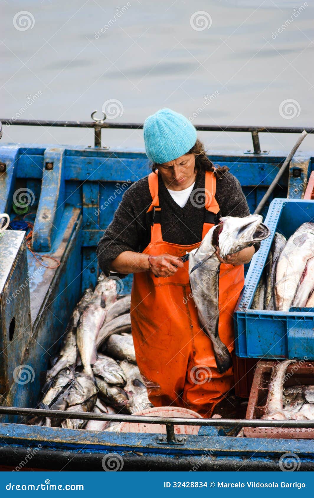 Fisherman editorial stock image. Image of trays, fish - 32428834