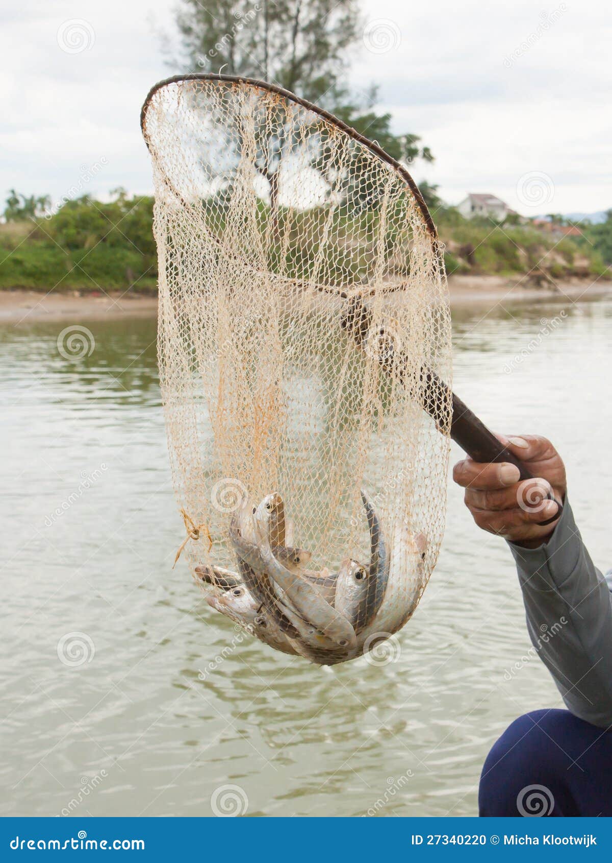 Fisherman Hold a Net with Several Small Fish in it Stock Photo - Image ...
