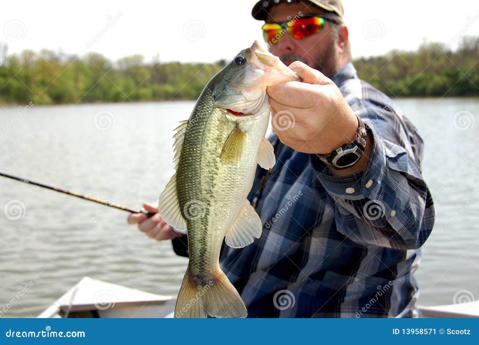 Fisherman Holding Bass Closeup Stock Image - Image of shiny, hand: 13958571