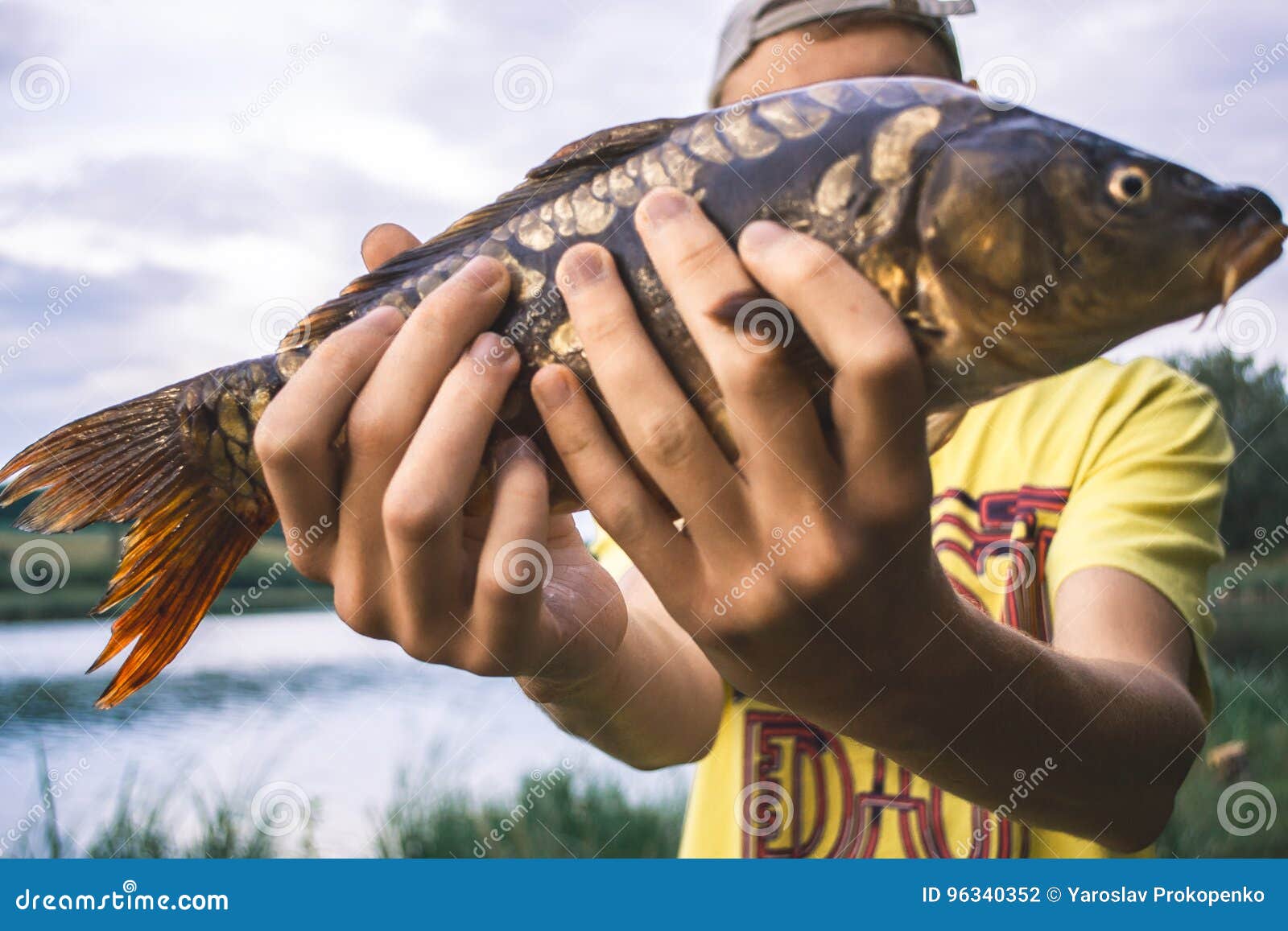 The Fisherman is Holding a Catch - a Large Carp. Stock Photo - Image of ...