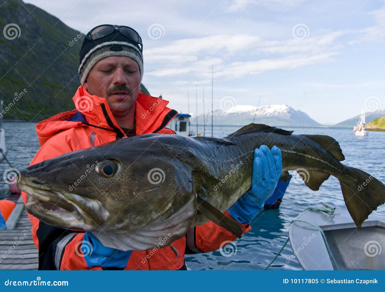 Fisherman holding Cod stock image. Image of hobby, norway - 10117805