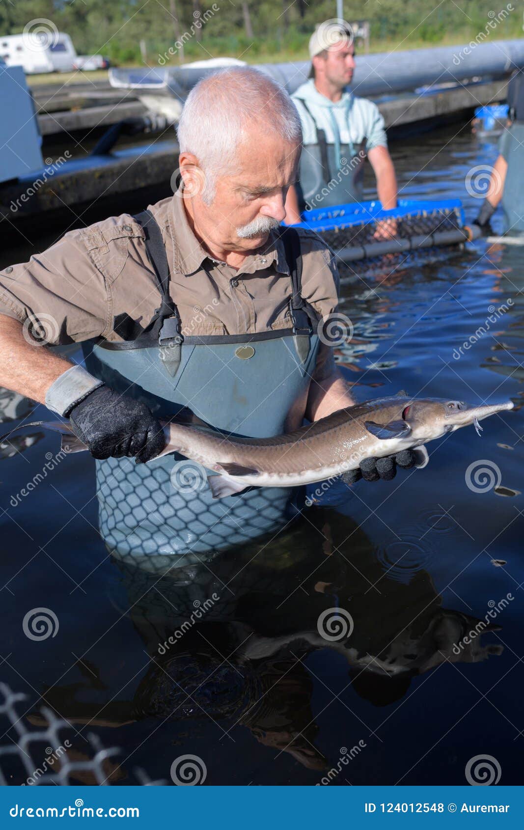 Fisherman holding a fish stock photo. Image of nine - 124012548