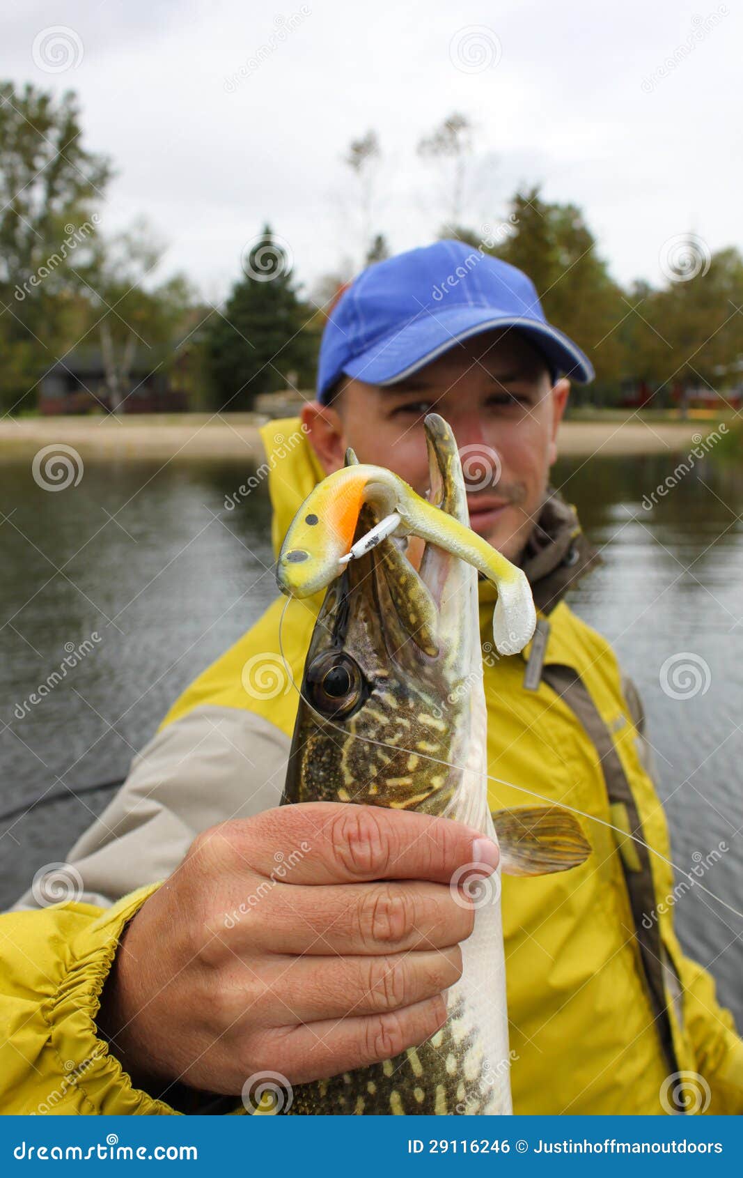 Fisherman Holding Northern Pike Stock Photo - Image of fishermen, hobby ...