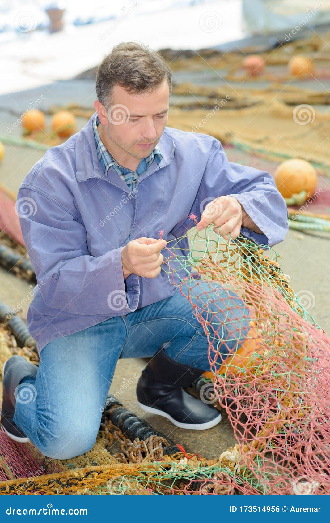 Fisherman inspecting nets stock photo. Image of skipper - 173514956