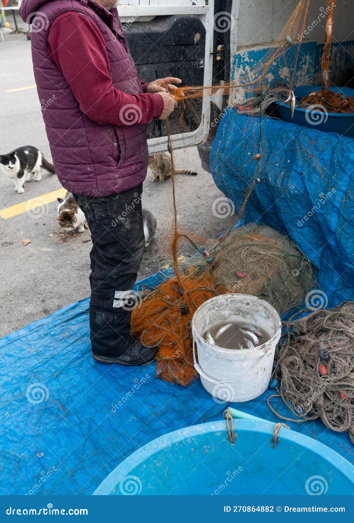 Koi Fish Asking For Food Stock Image | CartoonDealer.com #65810257