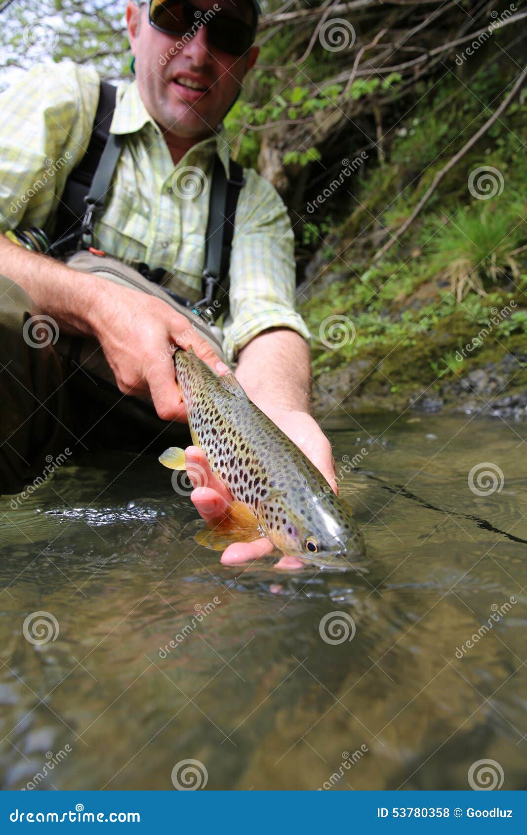 Fisherman Releasing Brown Trout Stock Photo - Image of outside, people ...
