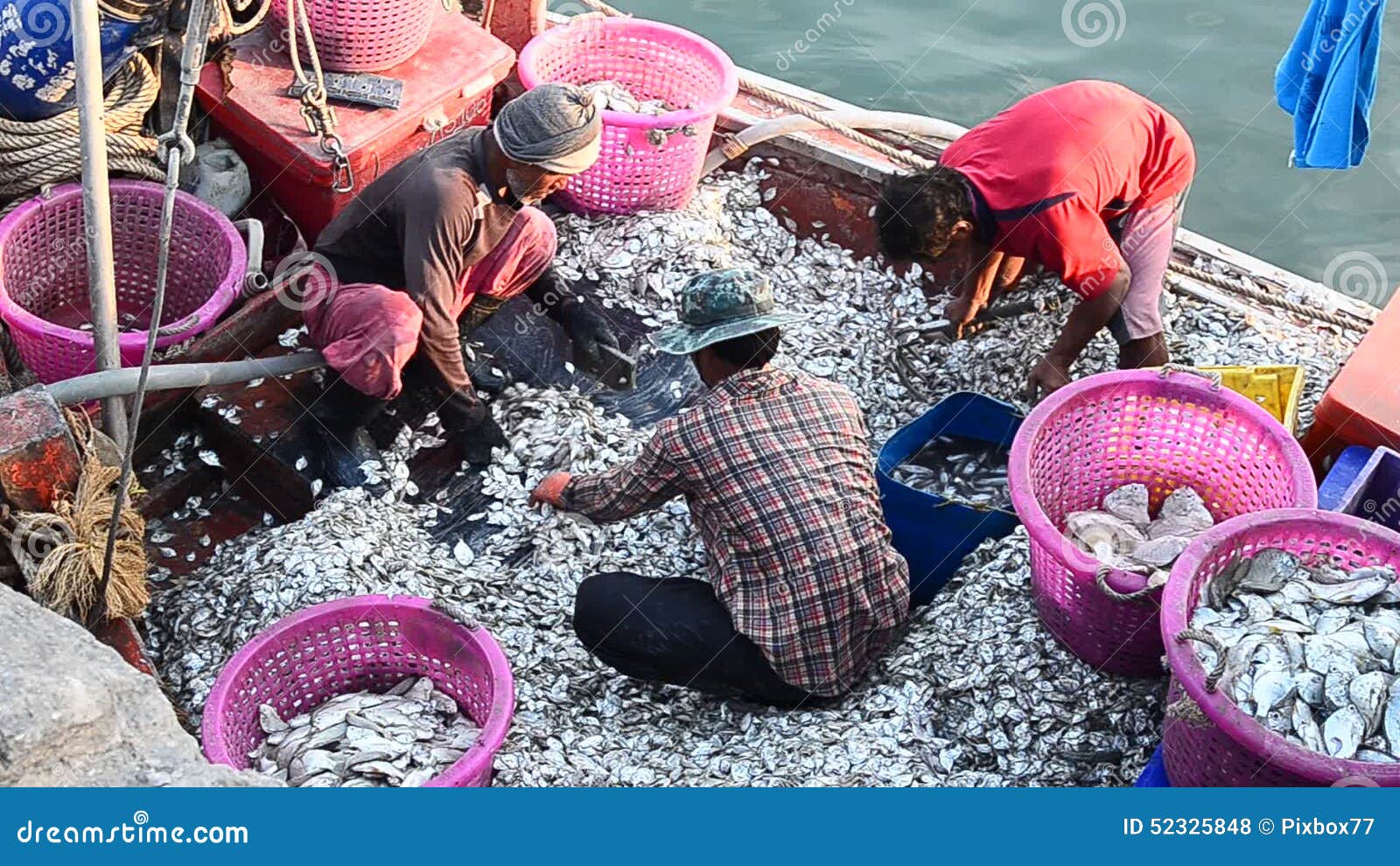 Fisherman are Sorting Fish on Boat at Jetty Stock Footage - Video of ...