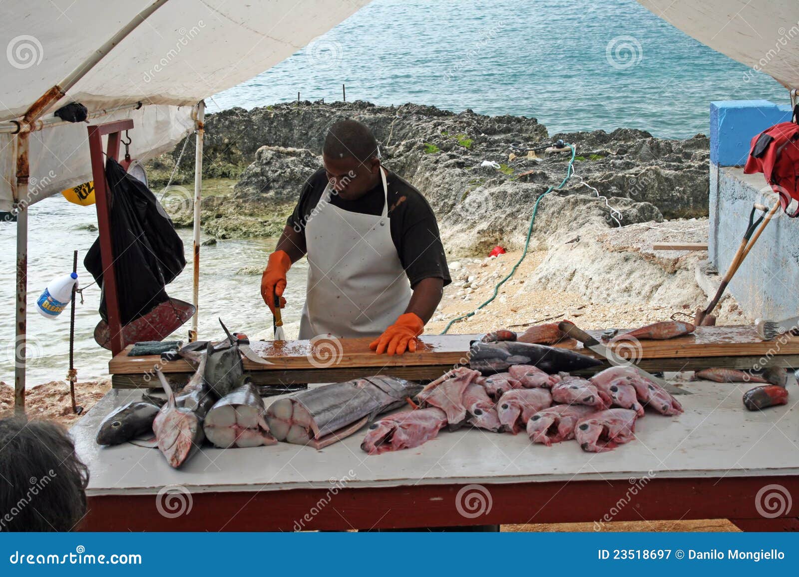 Fisherman stall editorial photography. Image of fishes - 23518697