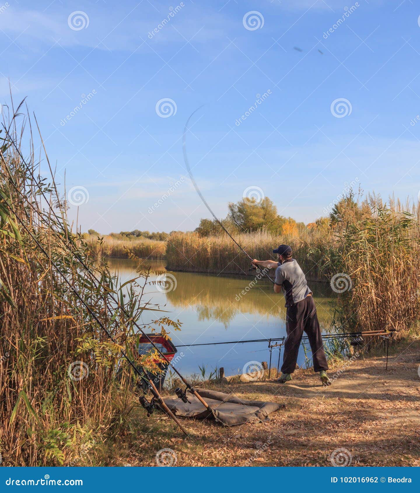 Fisherman Throw Fresh Fish Bait Editorial Photography - Image of moment ...