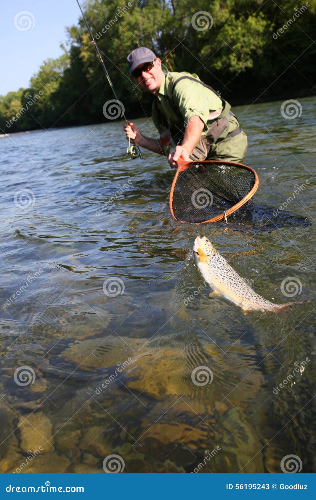 Fisherman with Trout in Caught in Net Stock Image - Image of guide ...
