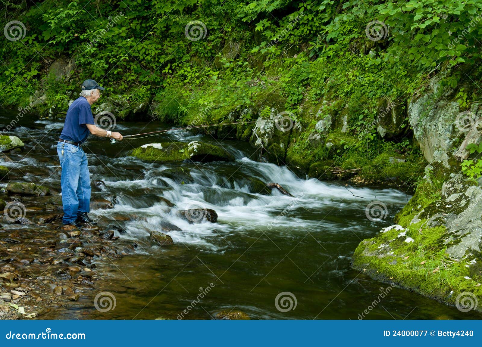 Fisherman Trout Fishing a Small Clear Stream. Stock Image - Image of ...