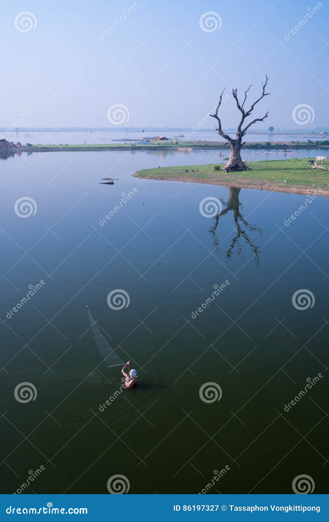 Fisherman Using Net To Catch Fish Stock Image - Image of people ...