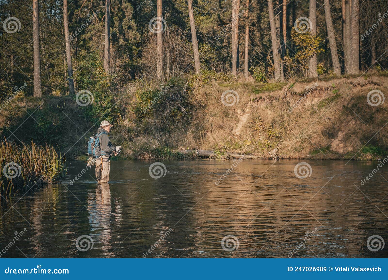 Fisherman in Waders on the Forest River Stock Image - Image of ...