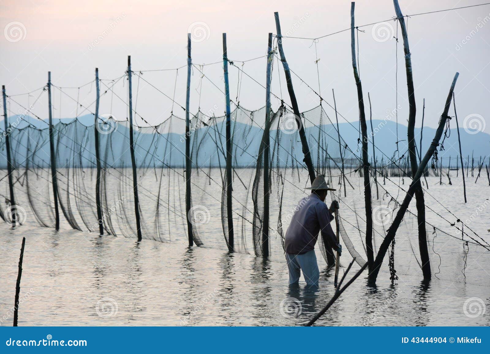Fisherman work at sea editorial stock image. Image of adult - 43444904