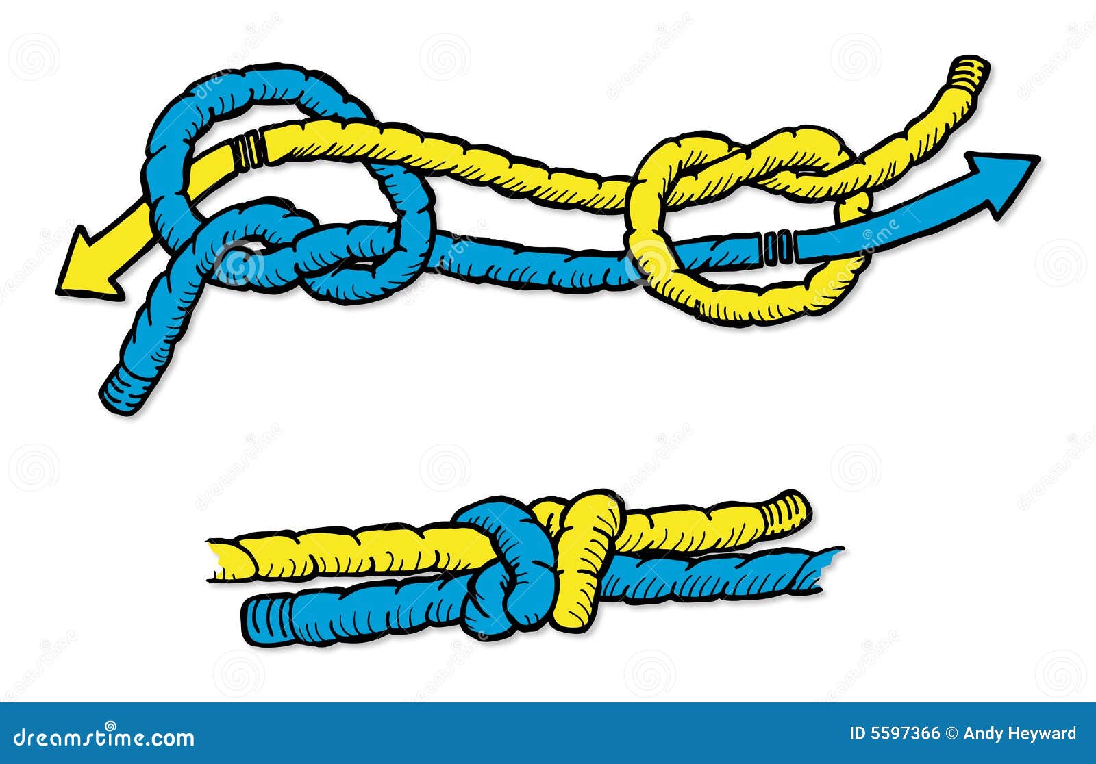 Fisherman`s Knot Cartoon Vector | CartoonDealer.com #59604779