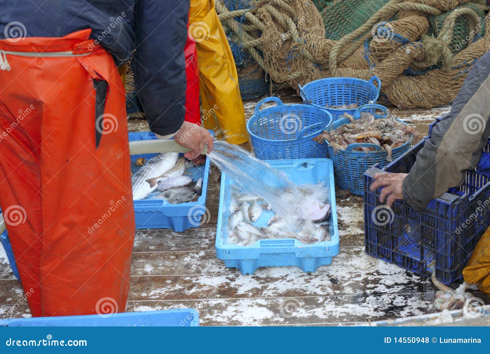 Fishermen Hands Working Fish Catch on Boat Deck Stock Photo - Image of ...