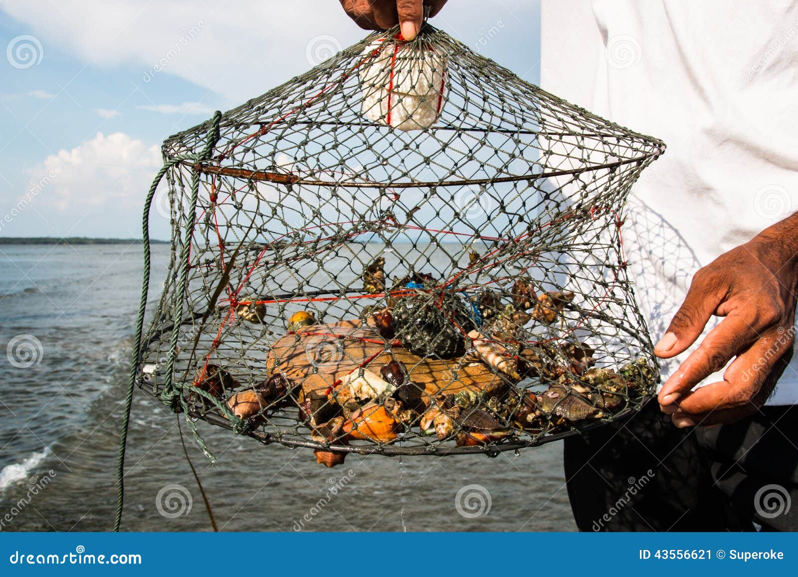 Fishermen and net stock image. Image of piscatory, beauty - 43556621