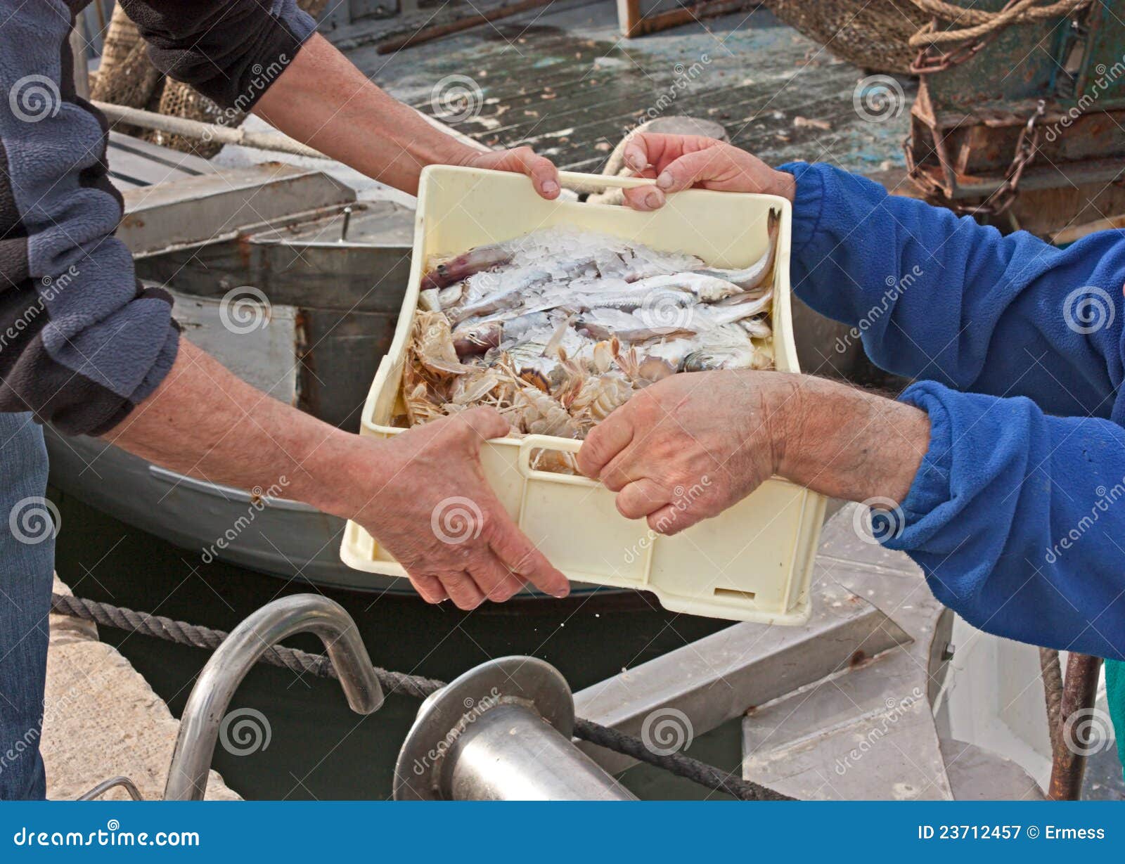 Fishermen Unloading Crate of Fish Stock Image - Image of mediterranean ...