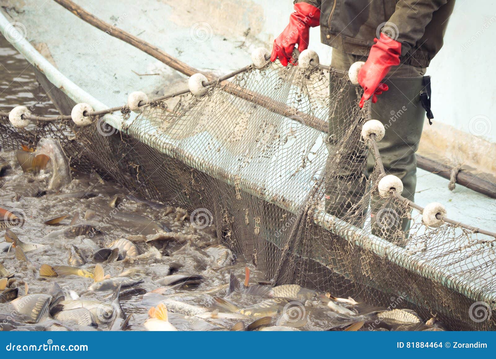 Fishermen at Work stock photo. Image of autumn, common - 81884464