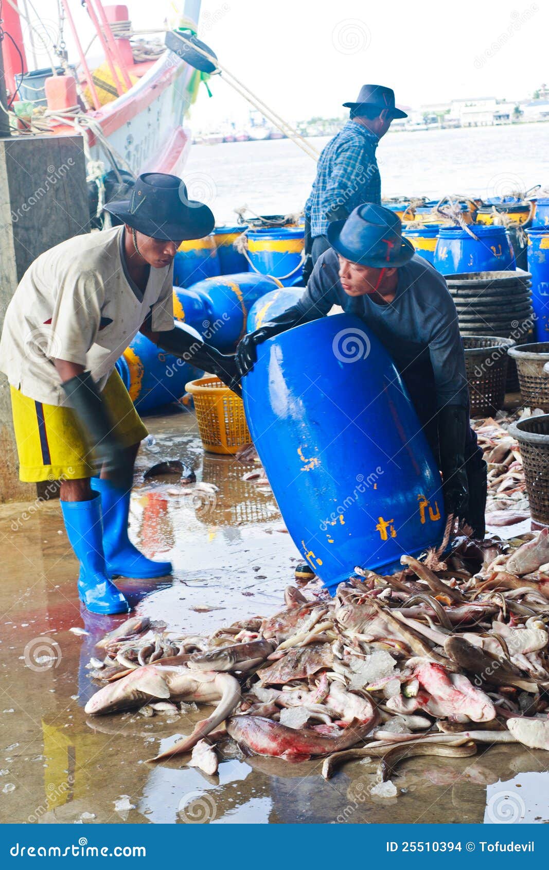 Fishermen Working in Harbor Editorial Stock Image - Image of boat, fish ...