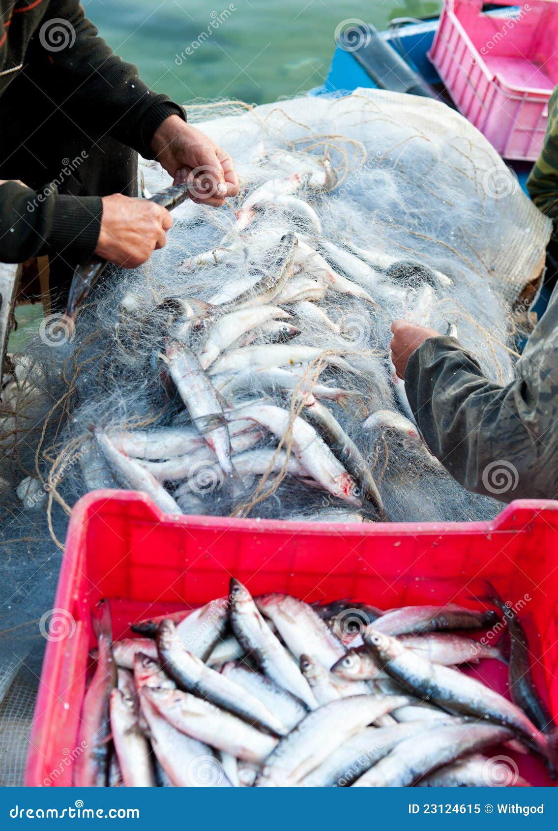 Fishers at work stock image. Image of fresh, freshwater - 23124615