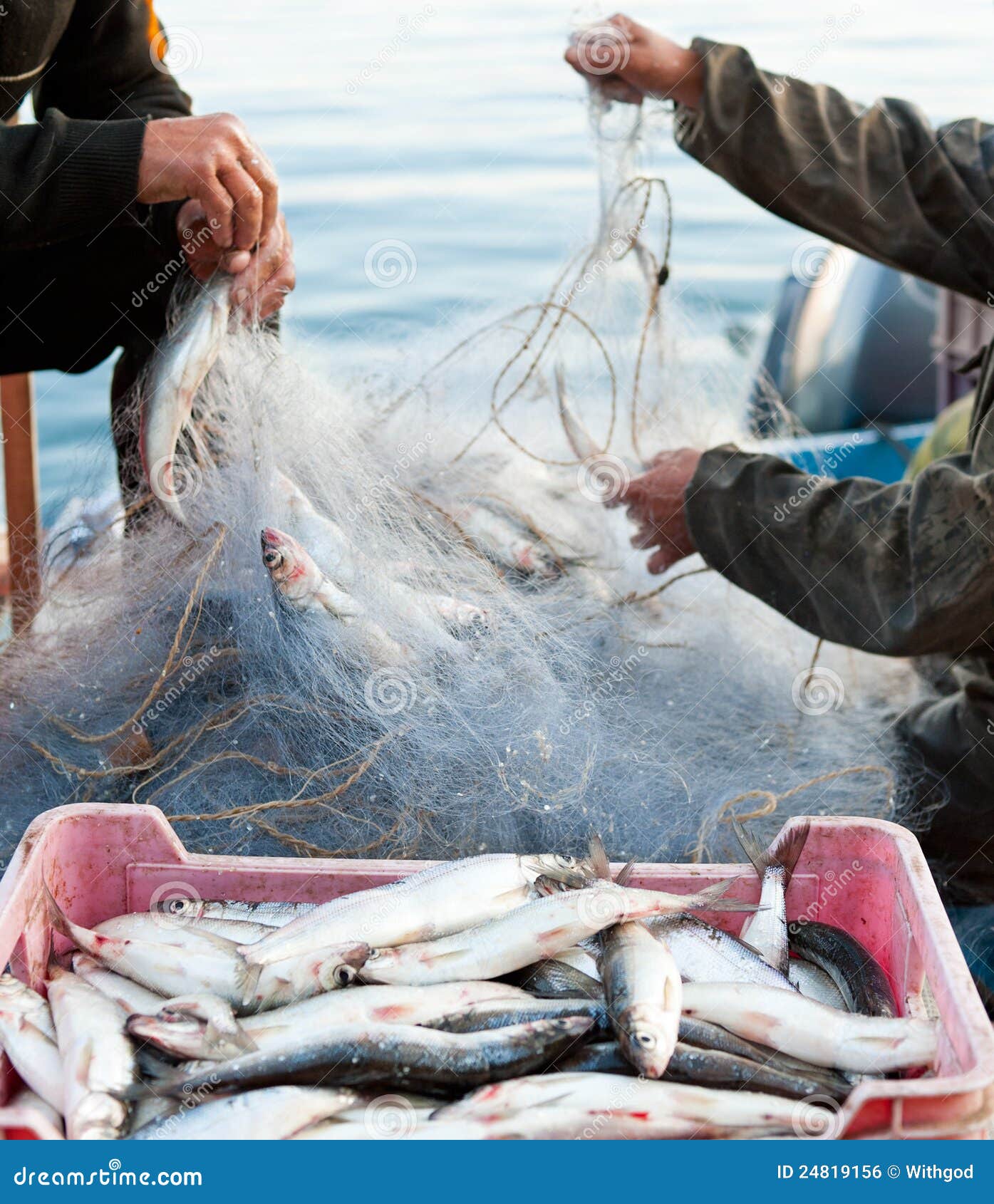 Fishers work stock photo. Image of lift, lower, caught - 24819156