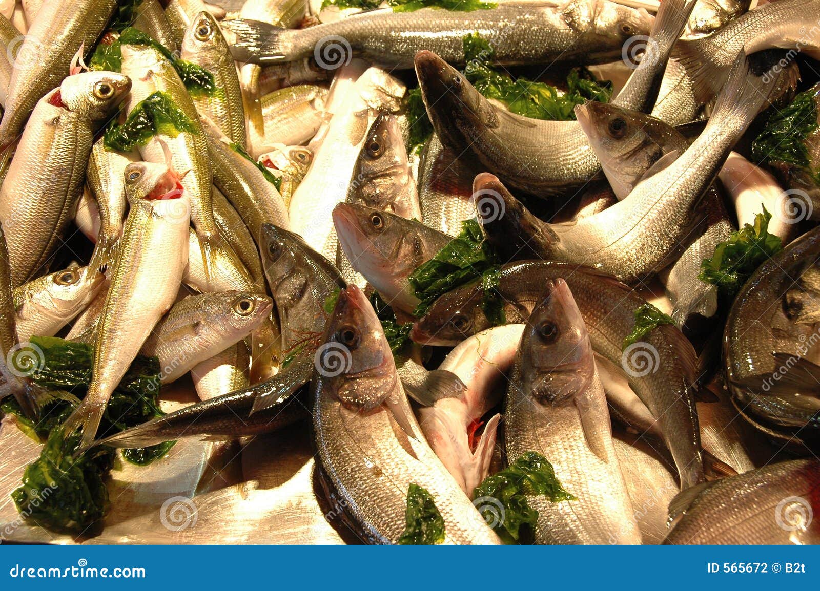 Fishery stock photo. Image of meal, seafood, fresh, omega - 565672
