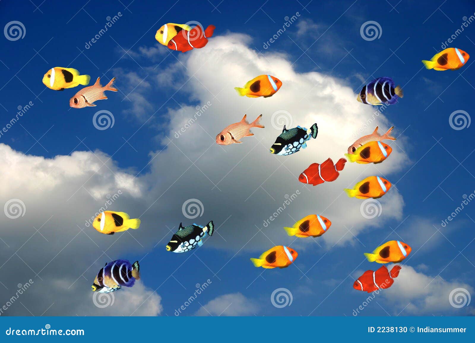 Fishes against blue sky stock illustration. Illustration of background ...