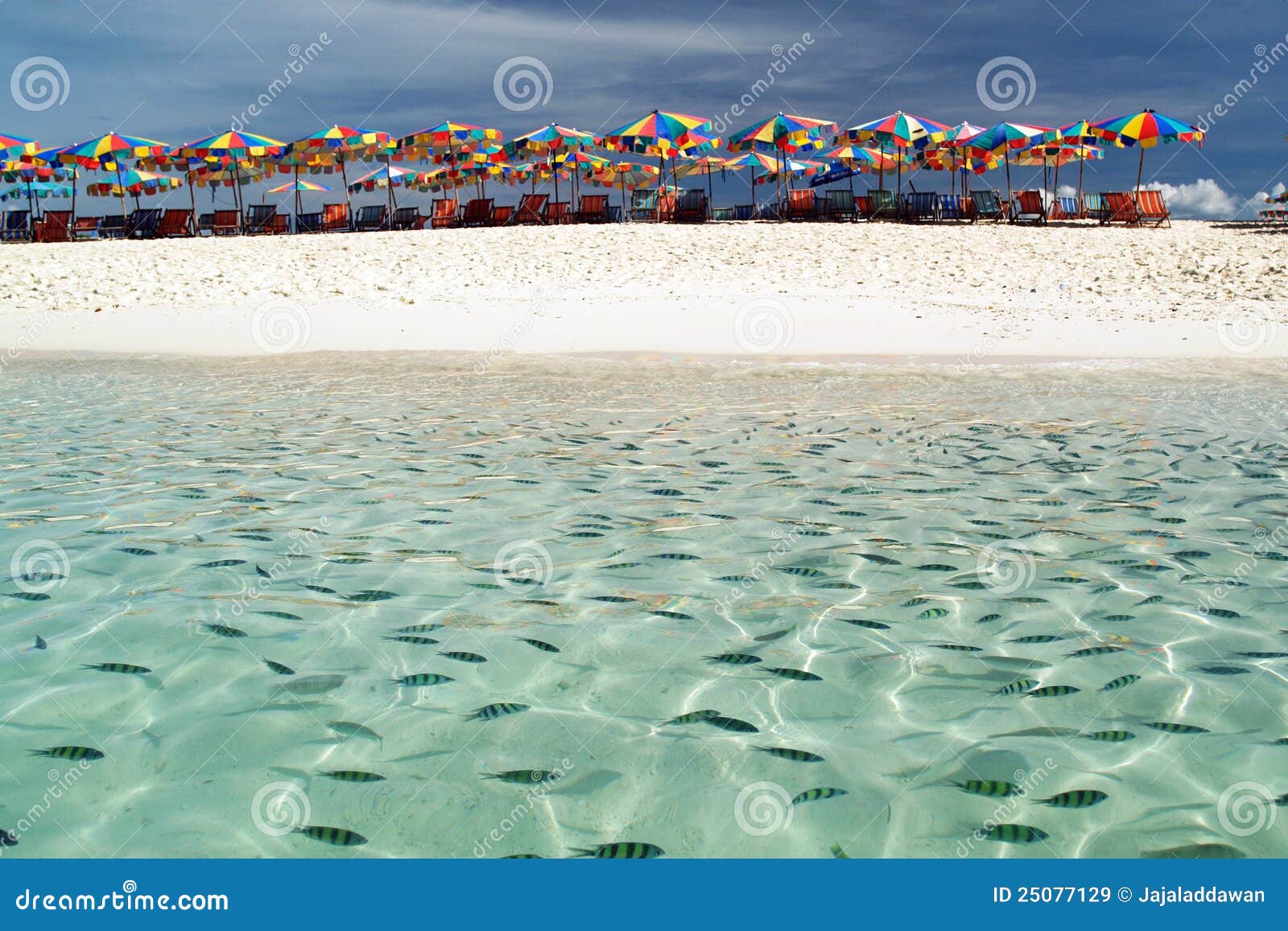 Fishes along the beach stock image. Image of krabi, cloud - 25077129