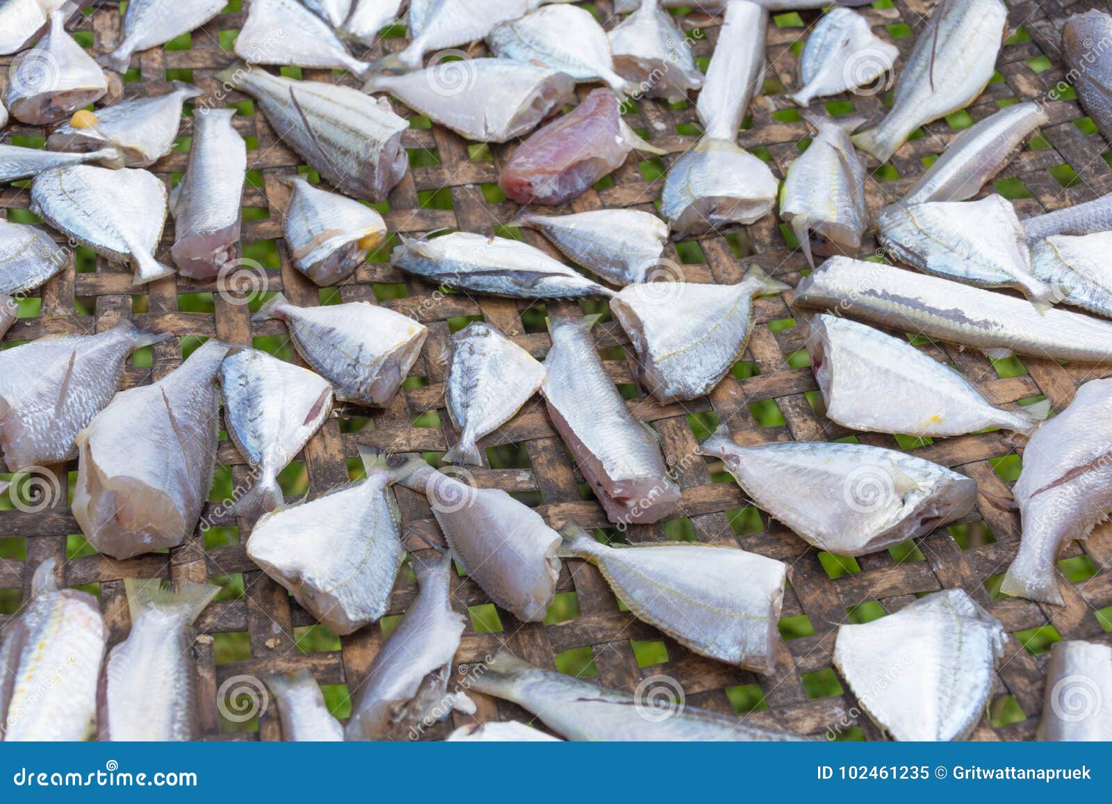 Sun-dried Fish stock image. Image of preparation, natural - 102461235