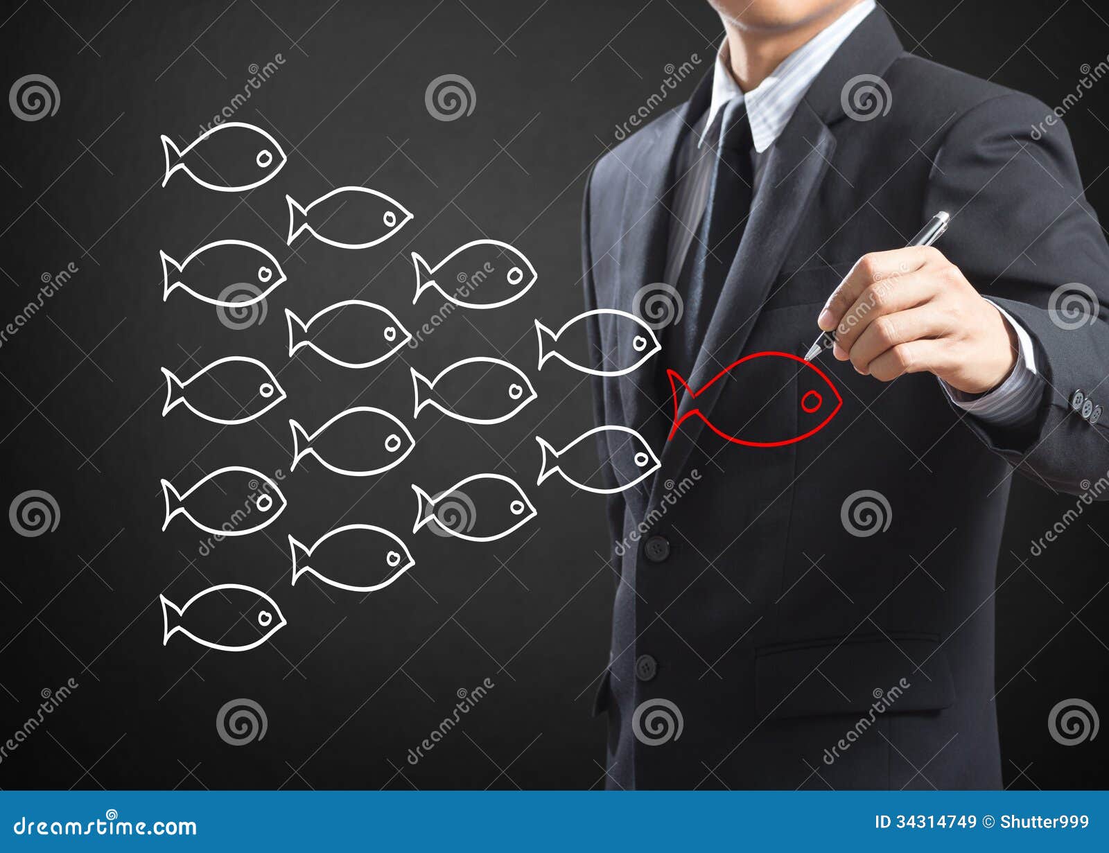Fishes in Group Leadership Concept Stock Image - Image of collection ...
