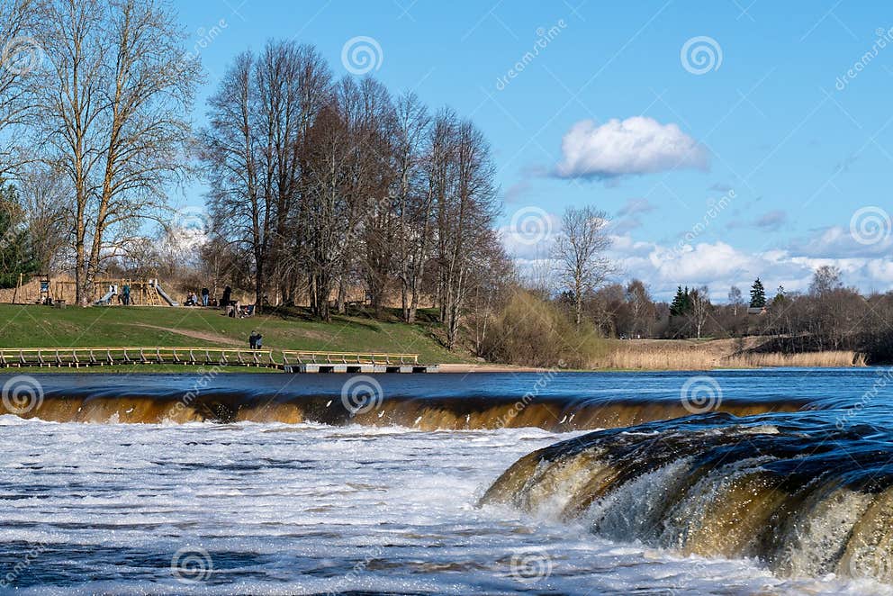 Fish Jumping Up in Waterfall and Going Upstream for Spawning Stock ...