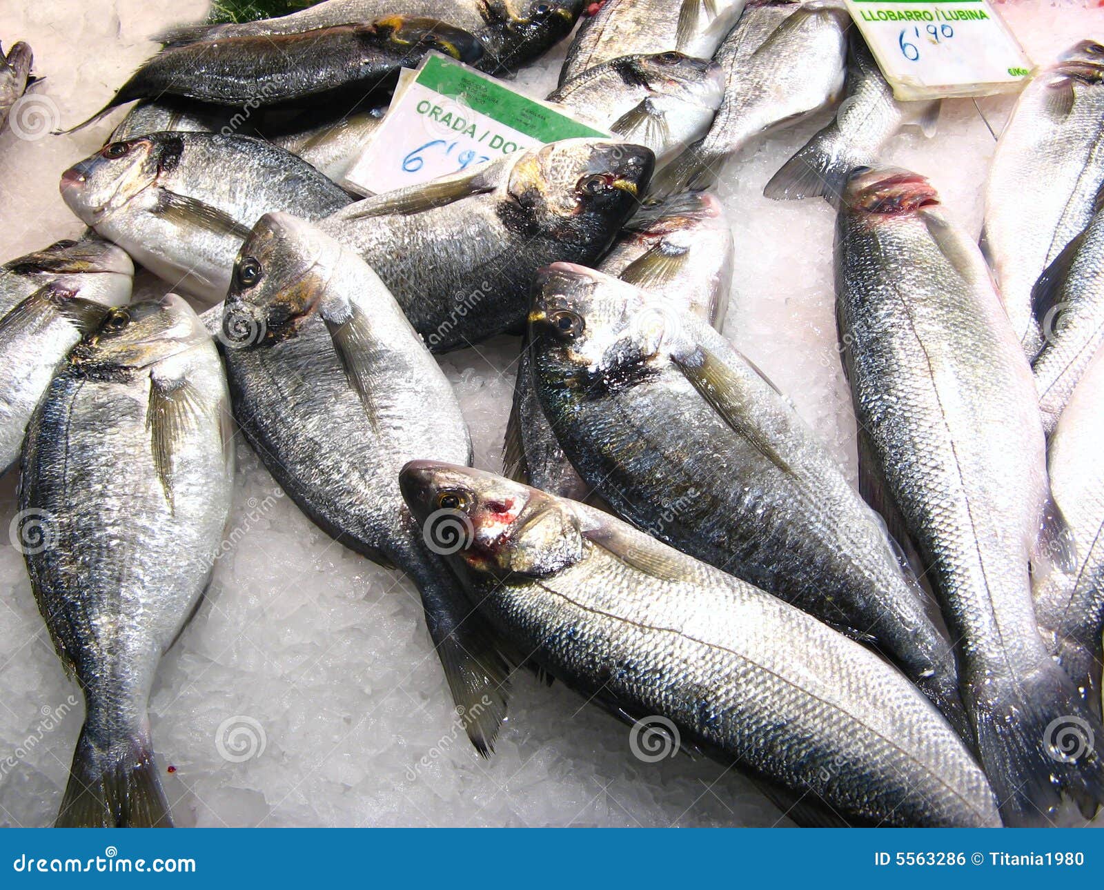 Fishes in market stock photo. Image of protein, food, assortment - 5563286