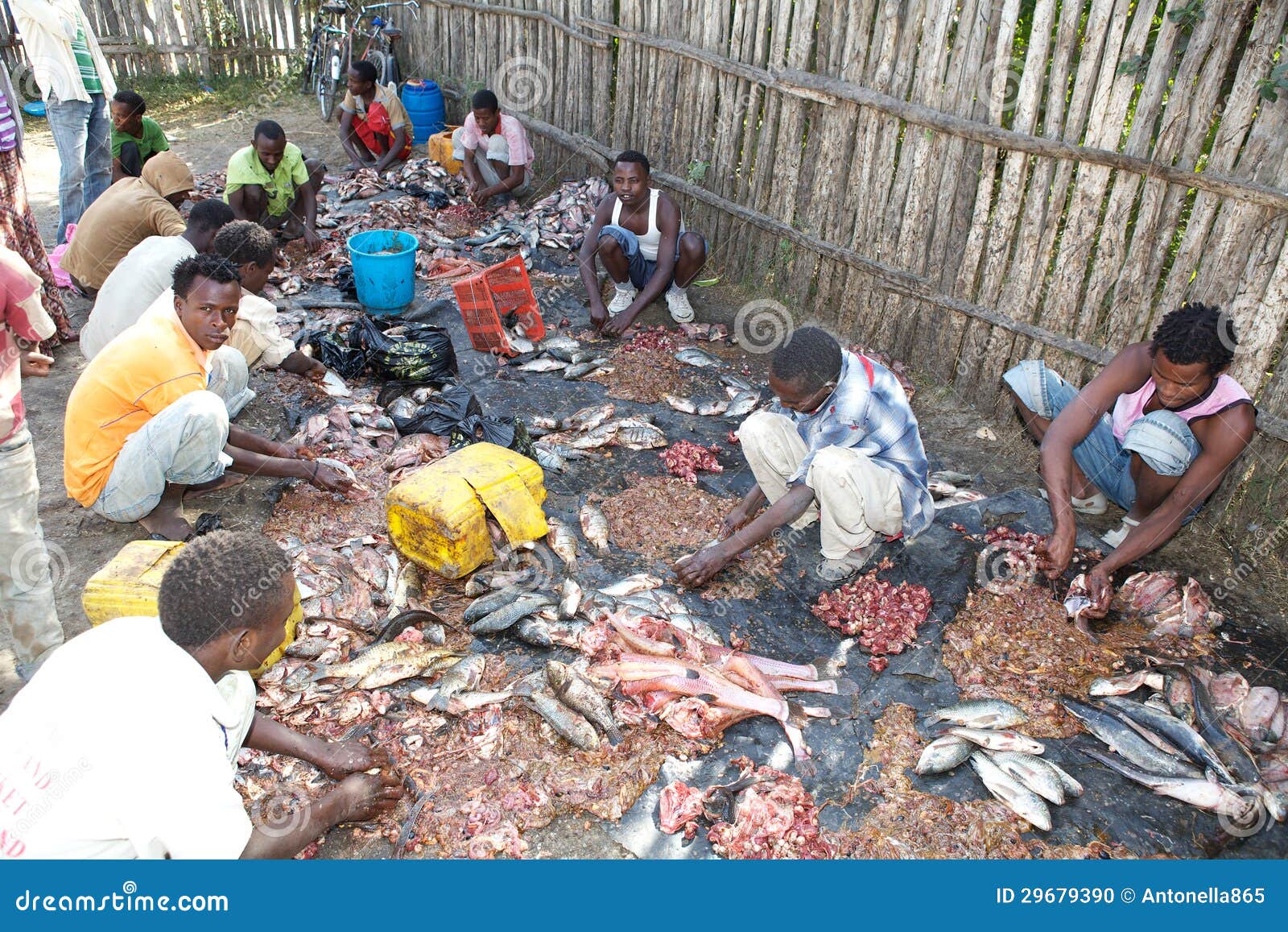 Fishes at the Open Fish Market Editorial Image - Image of fish, outdoor ...