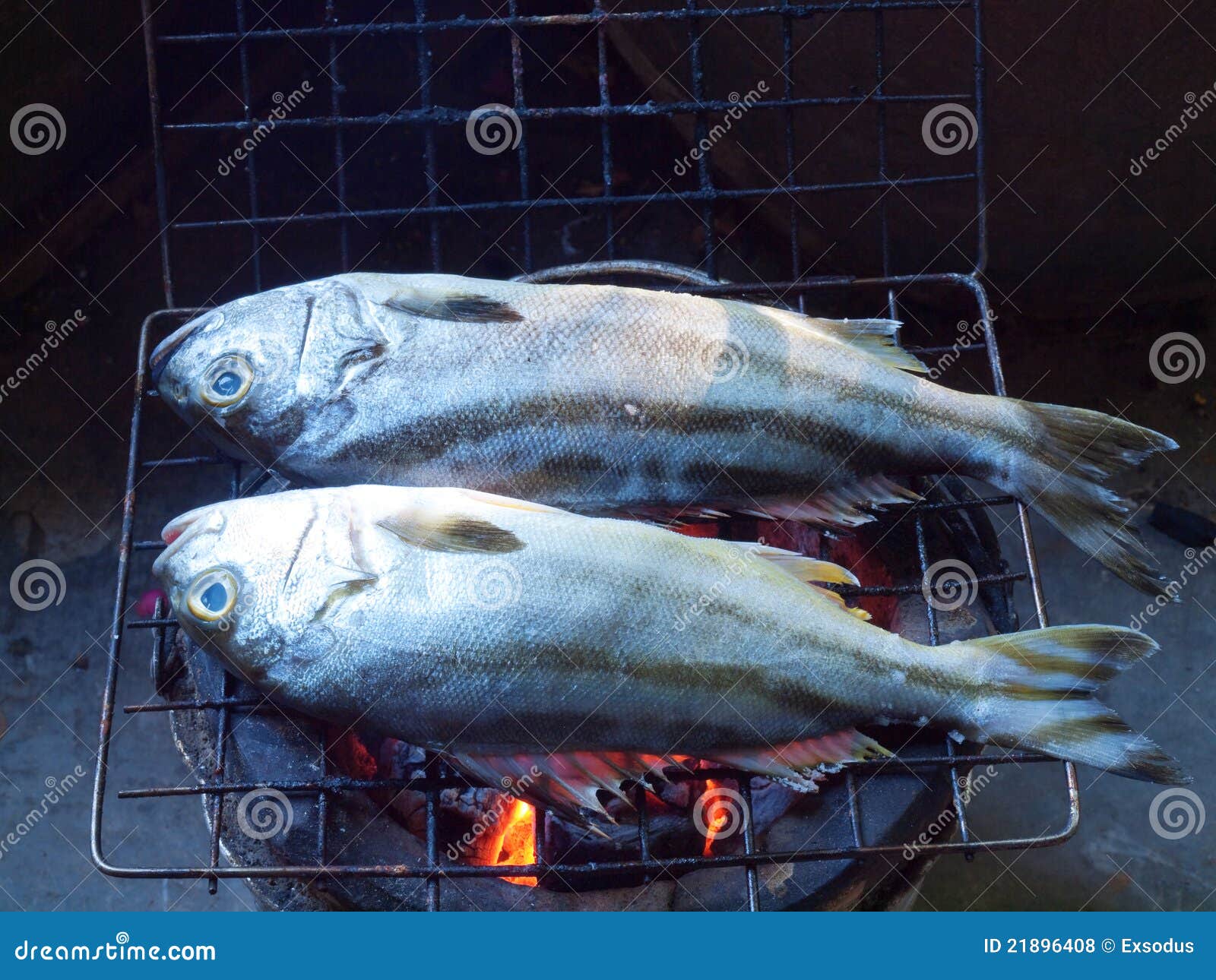 Fishes roasting stock photo. Image of gourmet, blazing - 21896408