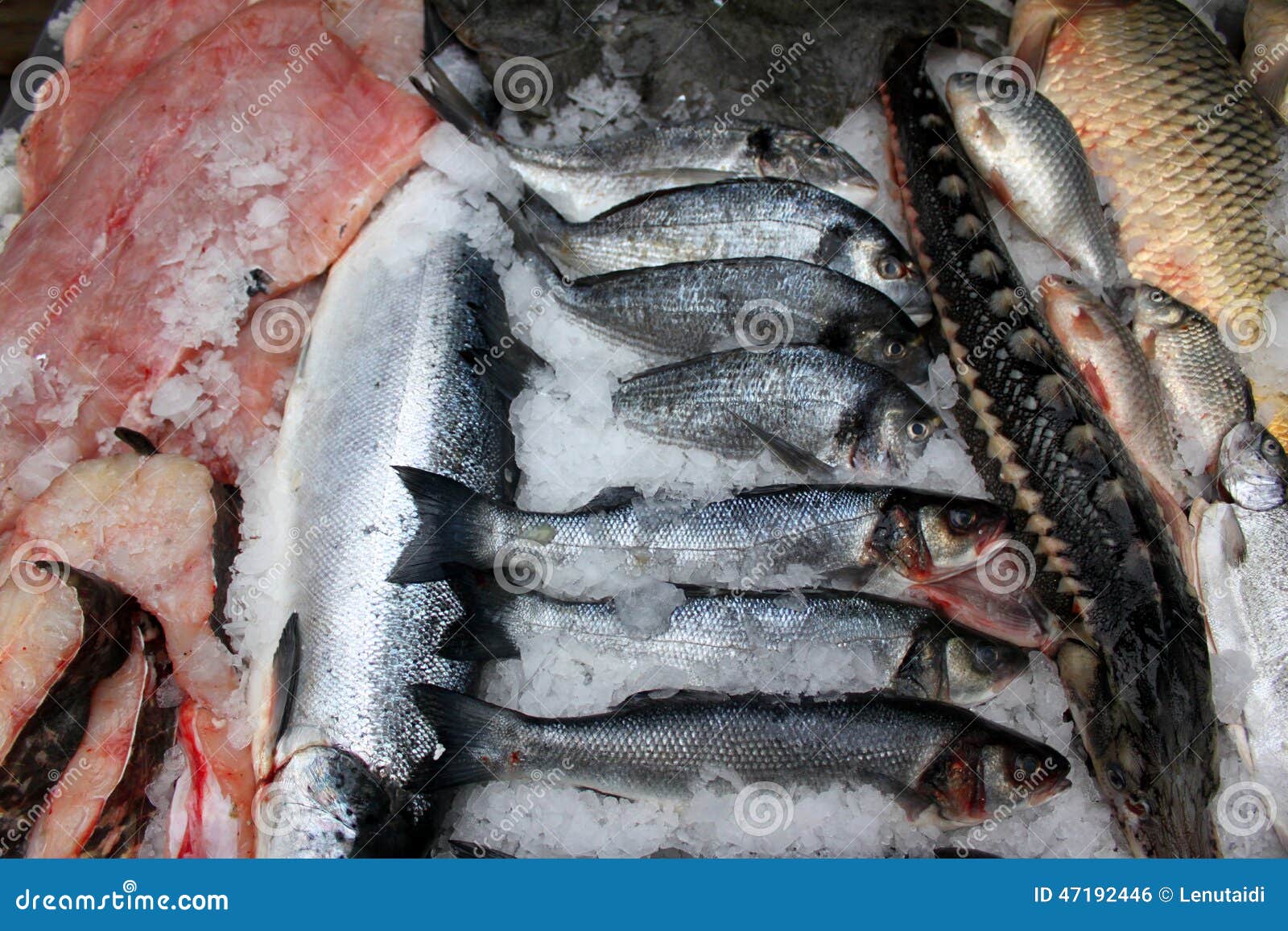 Fresh fishes for sale stock photo. Image of mackerels - 47192446
