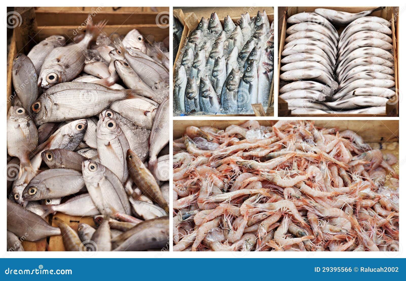 Fishes for Sale in the Fish Market in Bodrum Stock Photo - Image of ...