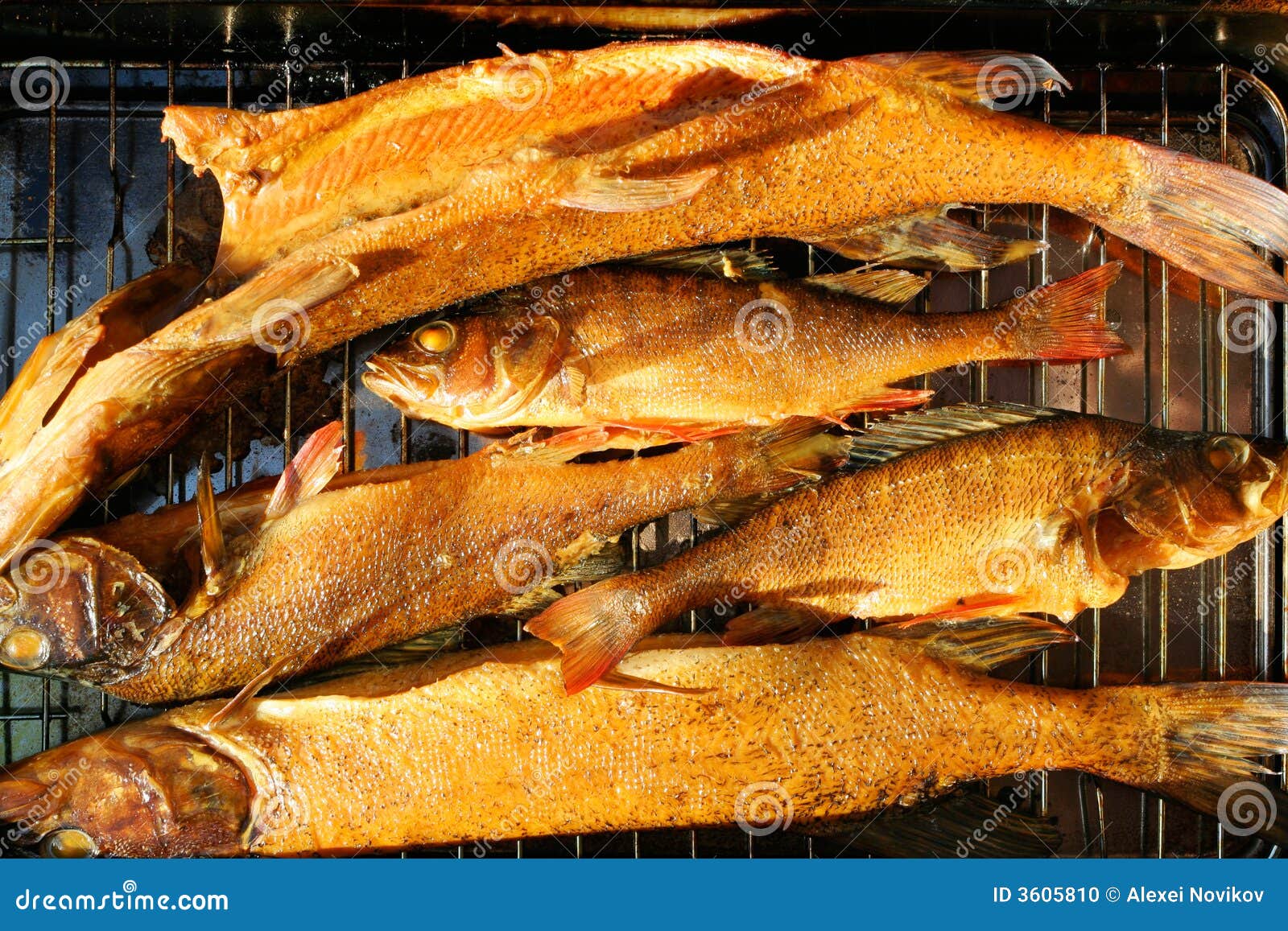 Fishes on smoking grill stock photo. Image of perch, camping - 3605810
