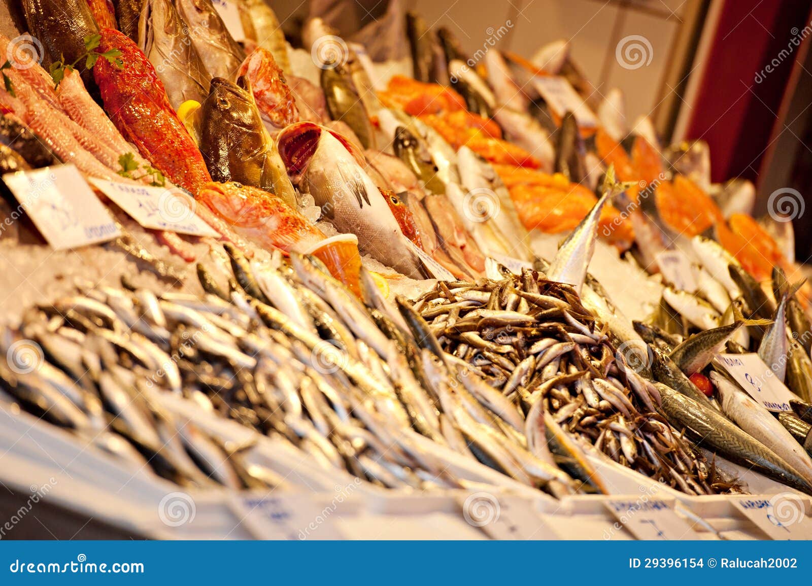 Fish stand stock photo. Image of eating, chilled, dish - 29396154