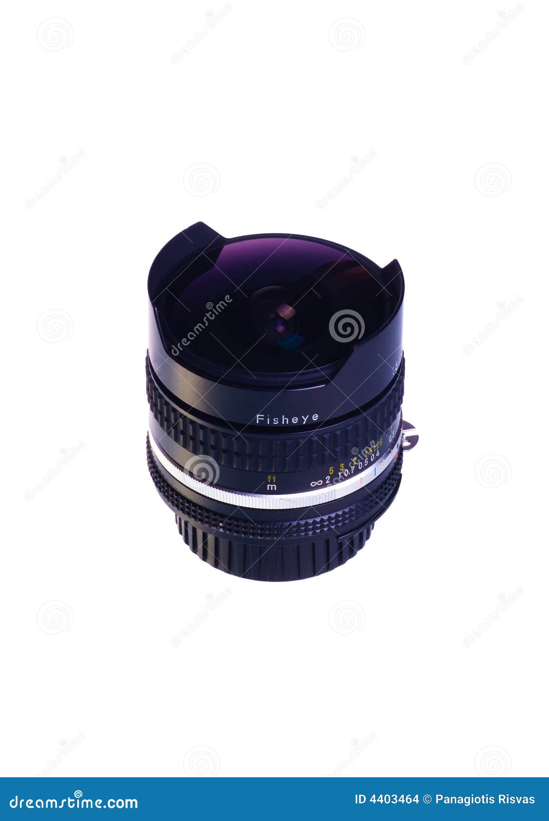 Fisheye Lens Muzzle Of The Big Brown Cow Royalty-Free Stock Photography ...
