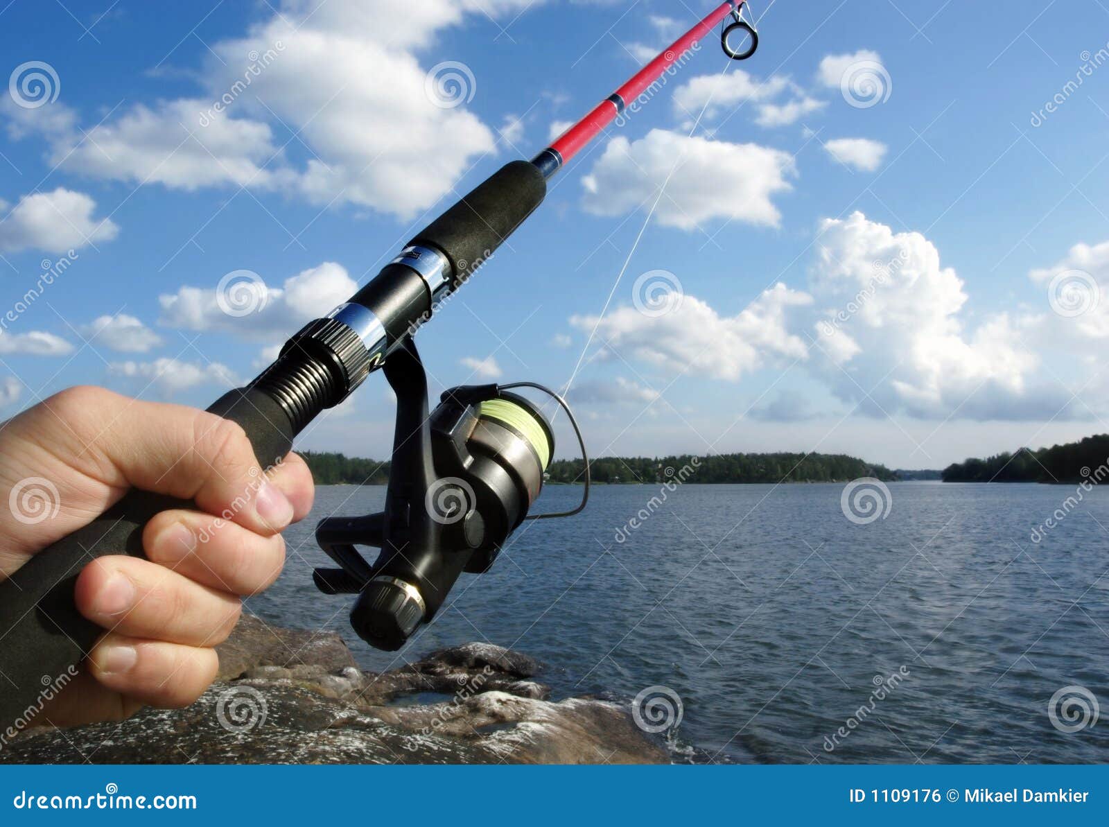 Fishing stock photo. Image of cast, outdoors, catch, dawn - 1109176
