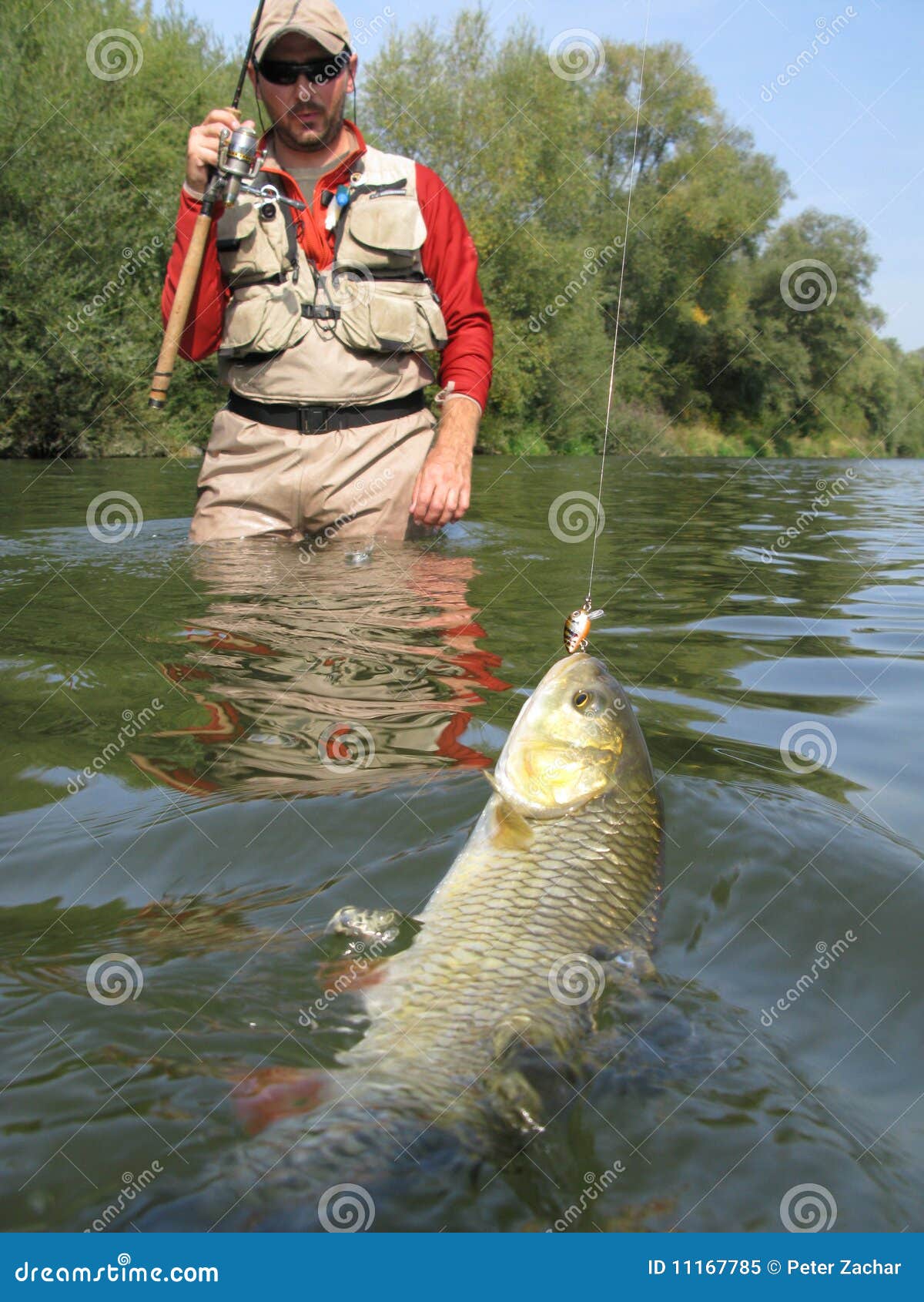 Fishing stock image. Image of animal, outdoors, food - 11167785