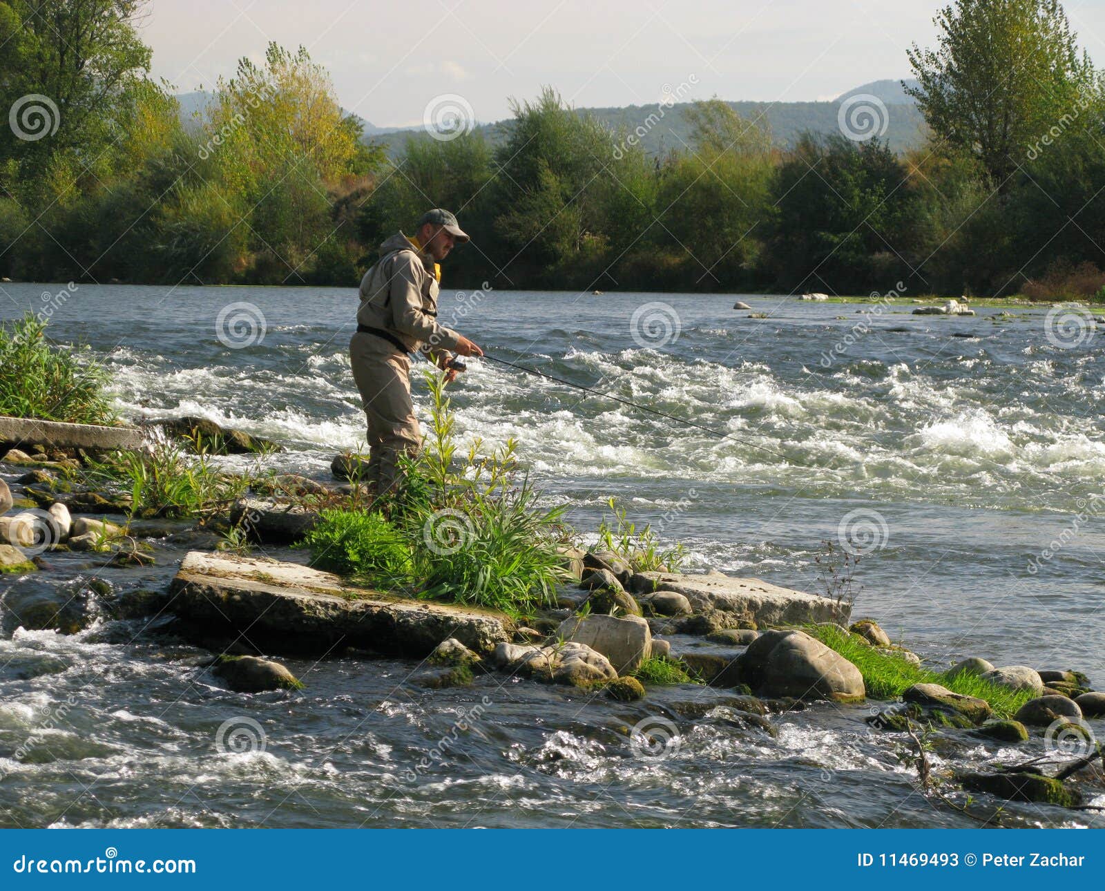 Fishing stock image. Image of animal, outdoors, release - 11469493