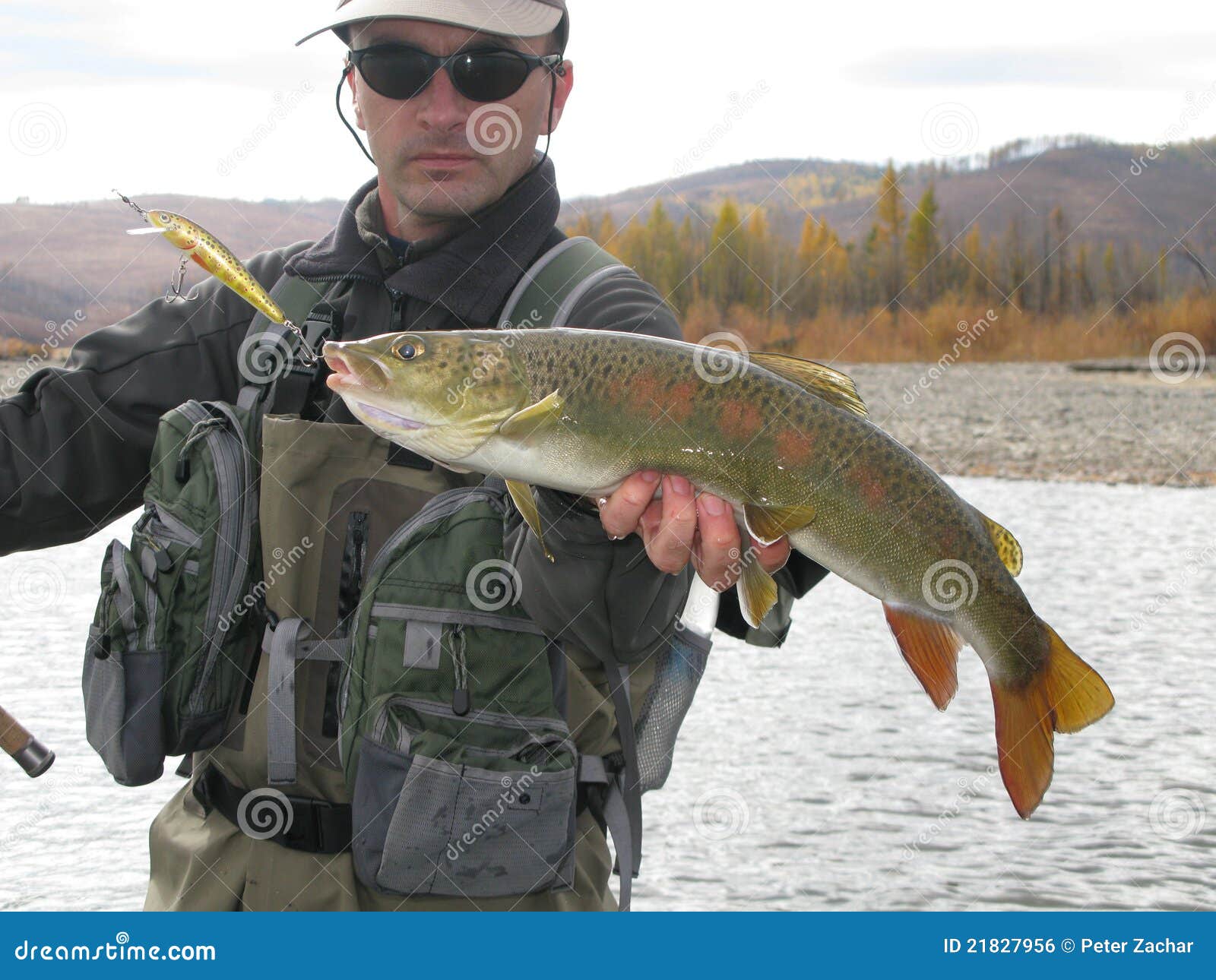 Fishing stock photo. Image of polar, catch, outdoors - 21827956