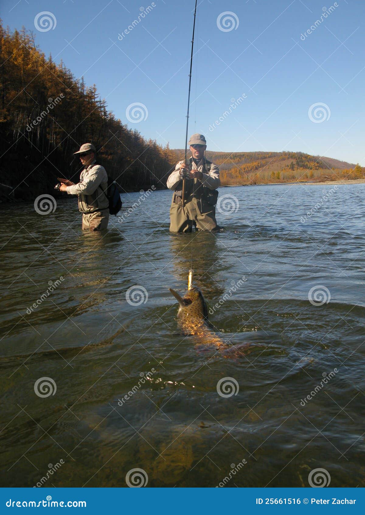 Fishing stock photo. Image of lake, peace, fishing, fish - 25661516