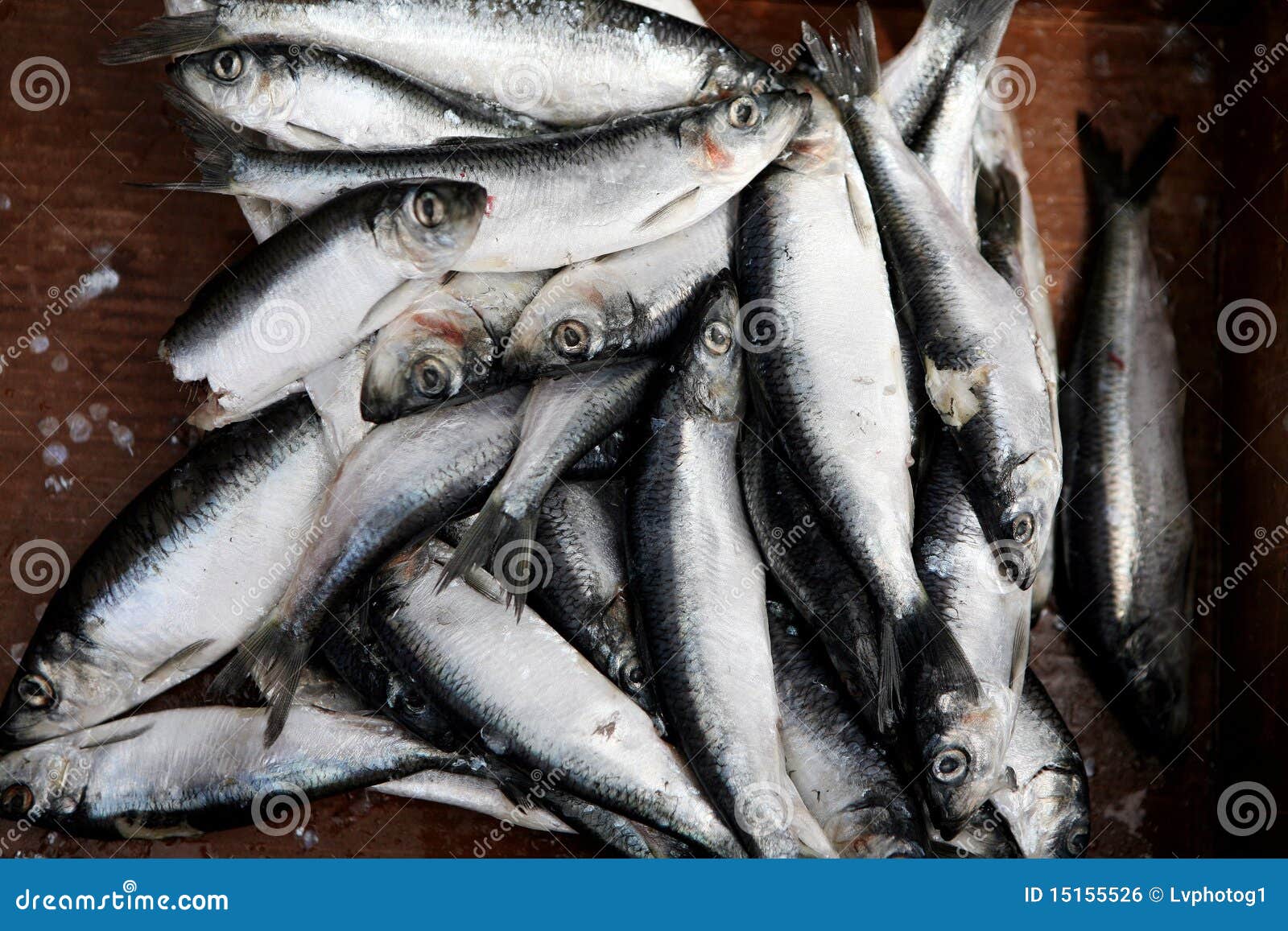1,019 Fishing Iced Photos - Free & Royalty-Free Stock Photos from ...