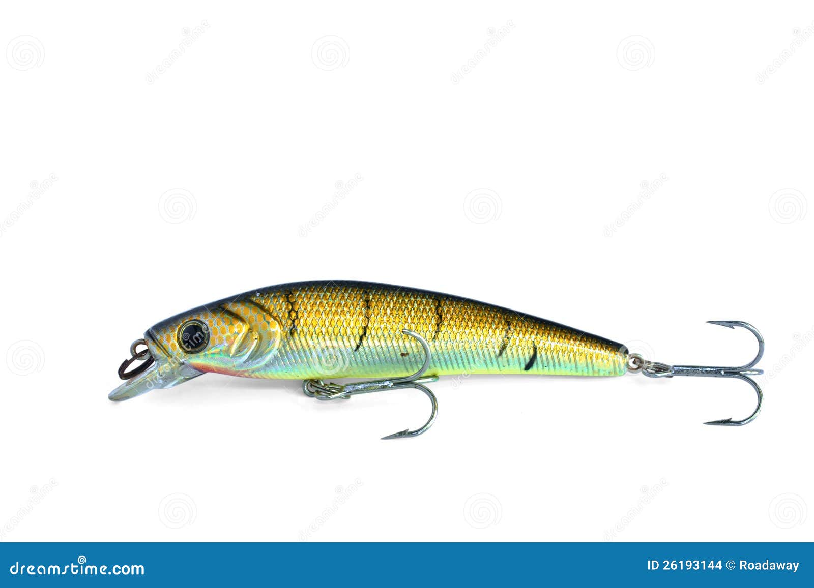 Fishing Bait stock photo. Image of fish, animal, bait - 26193144